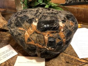 Turtle Rock (Septaria)
